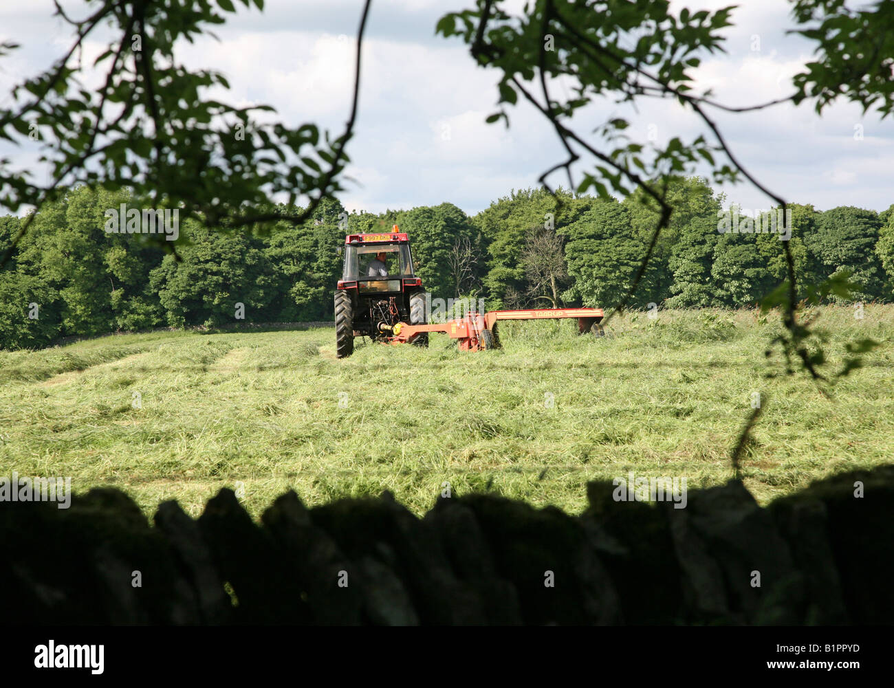 Tractor turning hay on field hi-res stock photography and images - Alamy