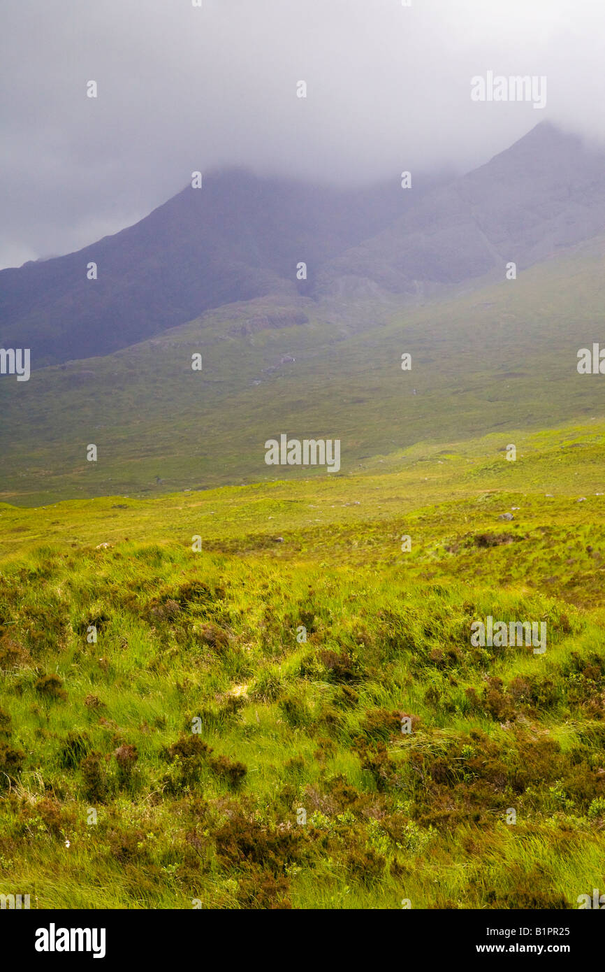 Vertical Scottish landscape of the Isle of Skye; Cross in the grass ...