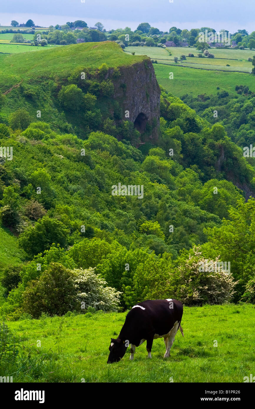 Thor's Cave in the Manifold Valley of the limestone White Peak in ...