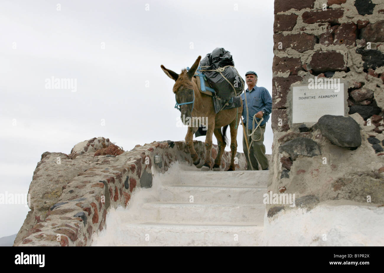 Donkey carrying heavy load in hi-res stock photography and images - Alamy