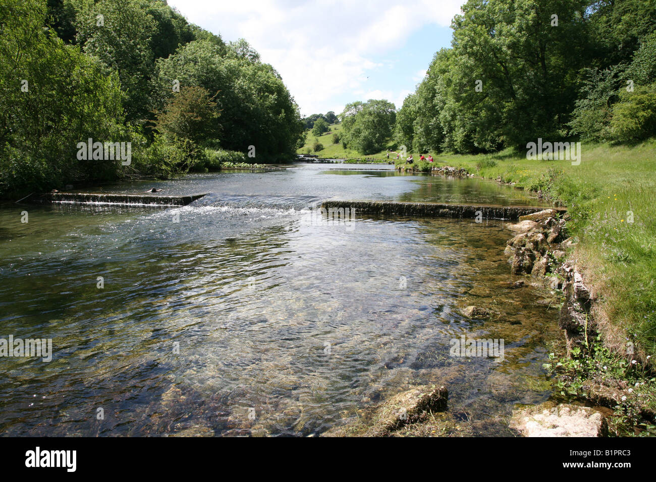 The river dams on the River Lathkill, Lathkill Dale, Derbyshire ...