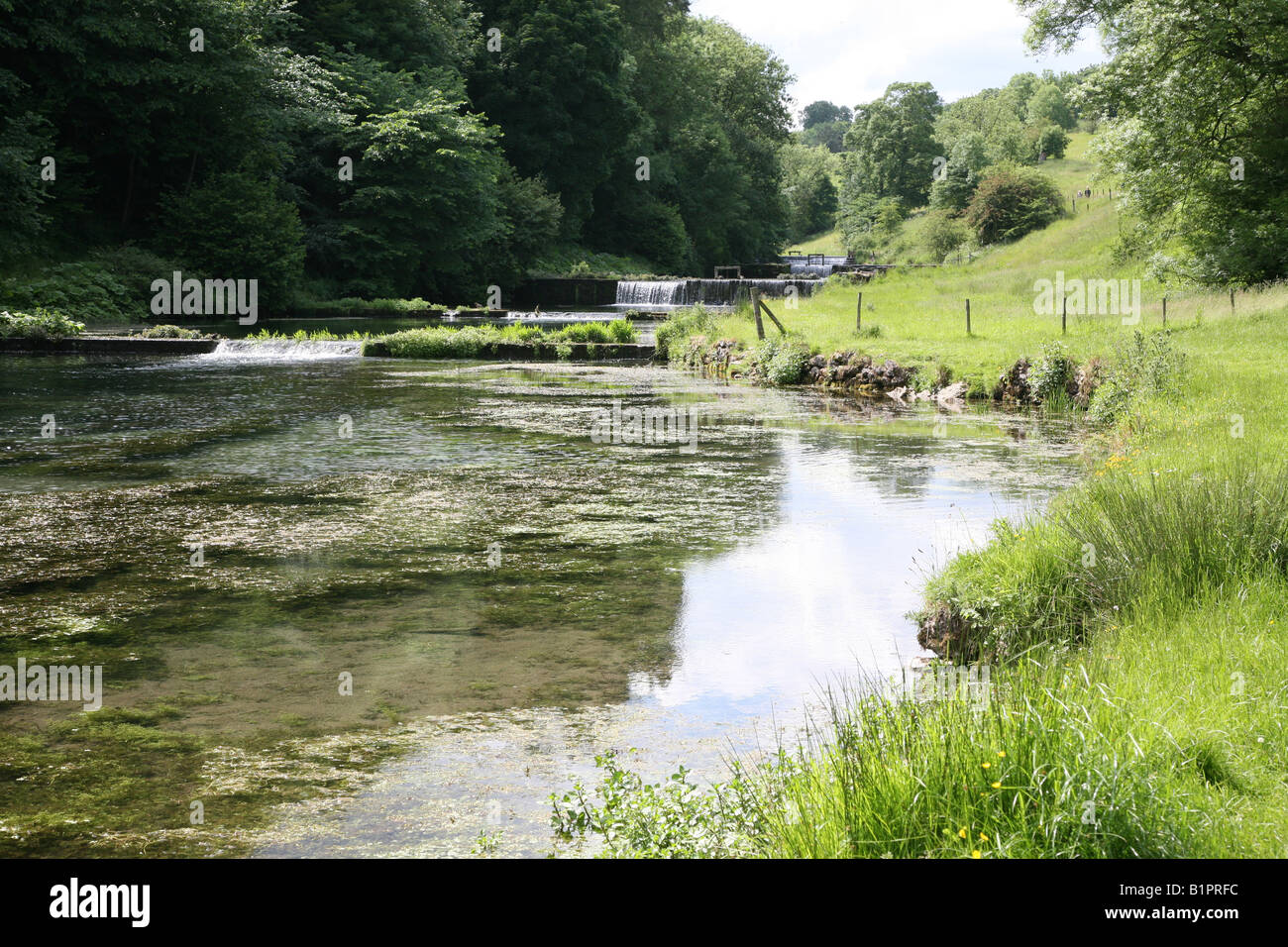 The river dams on the River Lathkill, Lathkill Dale, Derbyshire ...