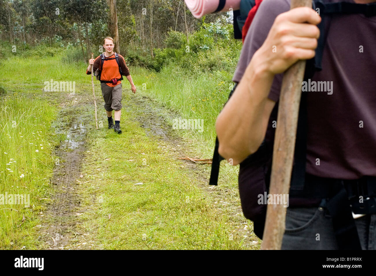 Pilgrim walking the WAY OF SAINT JAMES or CAMINO DE SANTIAGO Northern ...
