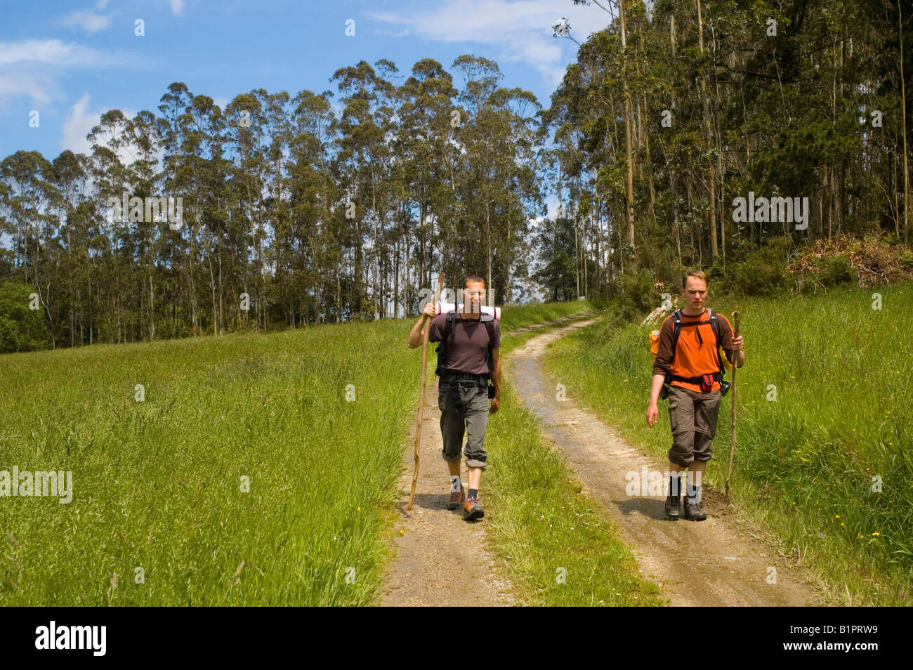 Pilgrim walking the WAY OF SAINT JAMES or CAMINO DE SANTIAGO Northern ...