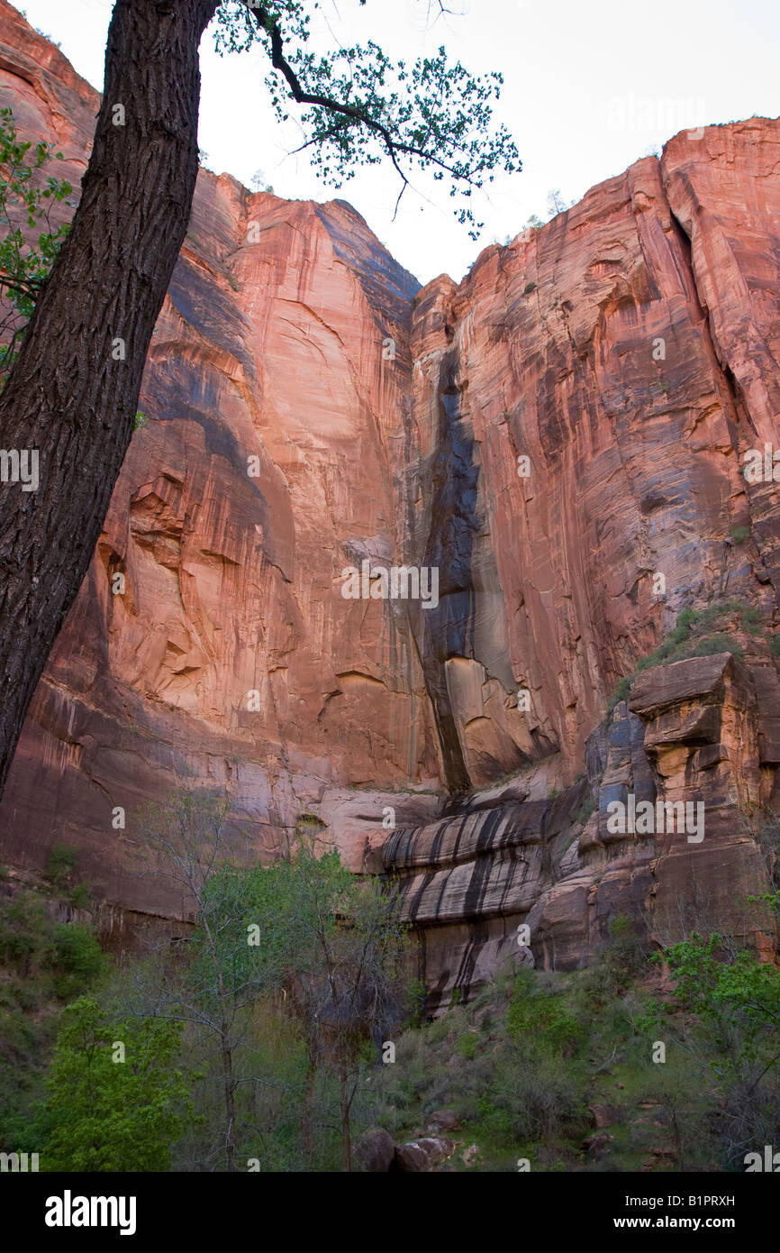 Colorful rocky canyon wall hi-res stock photography and images - Alamy