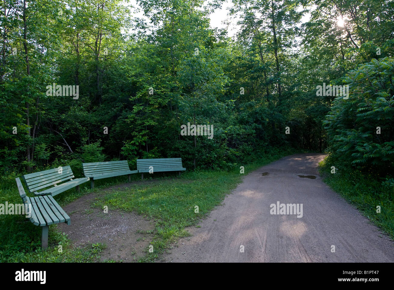 Montreal greenery hi-res stock photography and images - Alamy