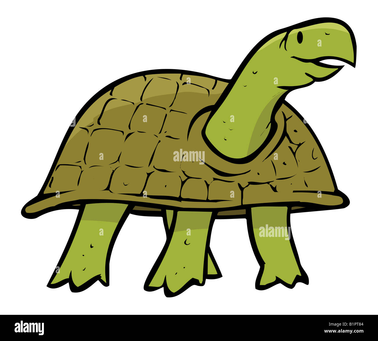cartoon illustration of a turtle Stock Photo - Alamy