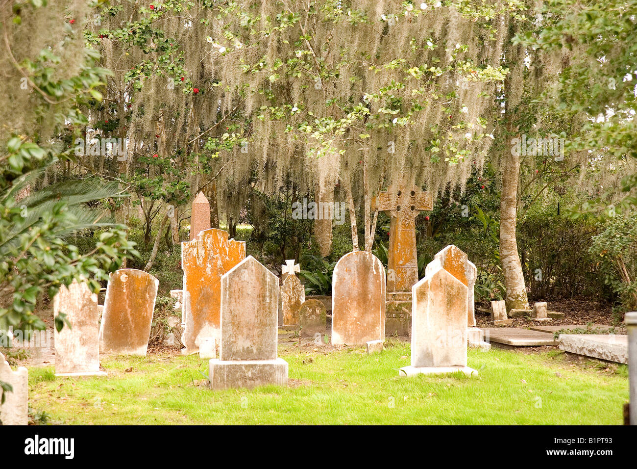 An old cemetery on a grassy lawn with oak trees and spanish moss Stock ...
