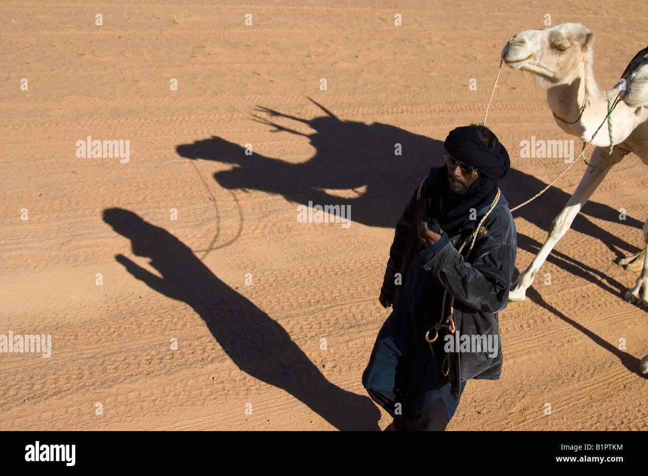 Tuaregs Camel High Resolution Stock Photography and Images - Alamy