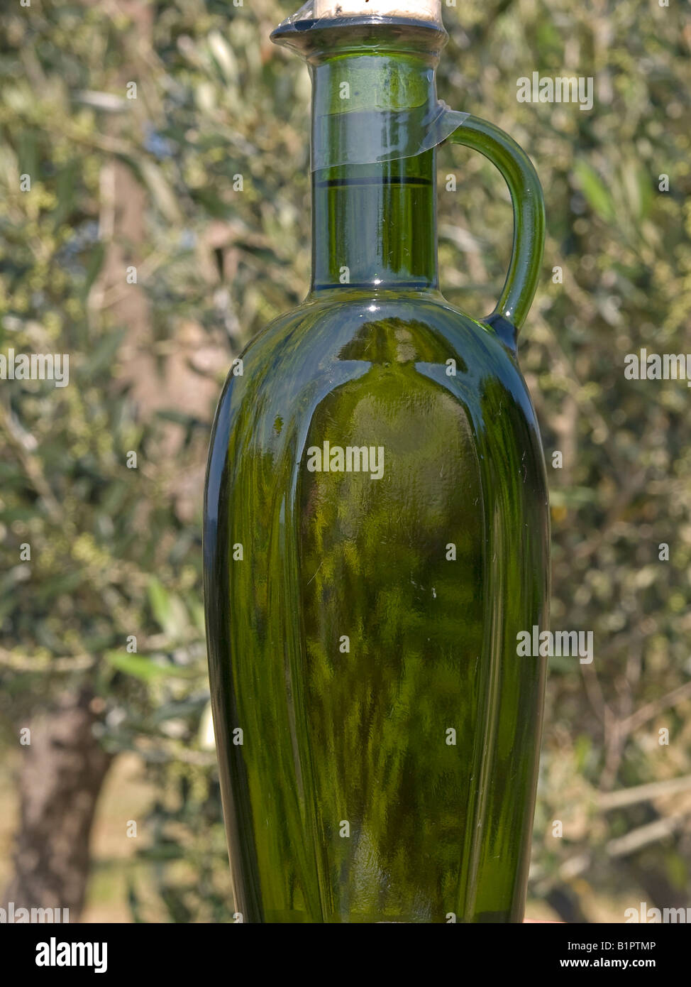 green bottle filled with olive oil in the background branches of ...