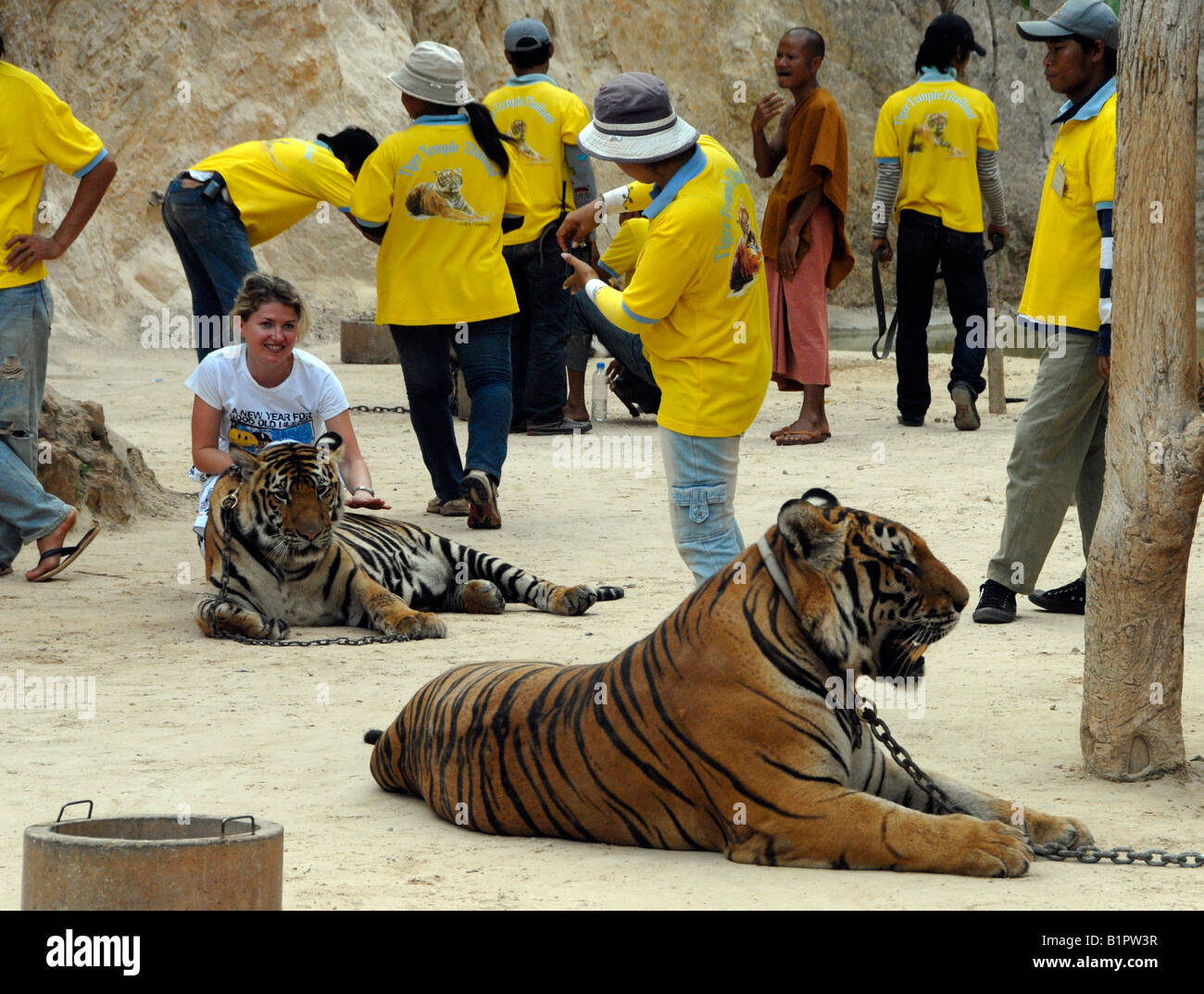 Local workers lead tourists around tiger canyon for photo opportunities ...