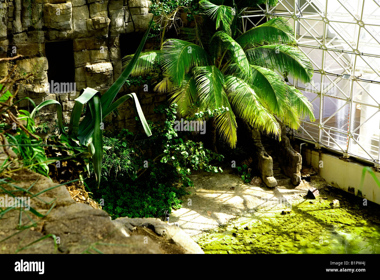 Biosphere 2 hi-res stock photography and images - Alamy