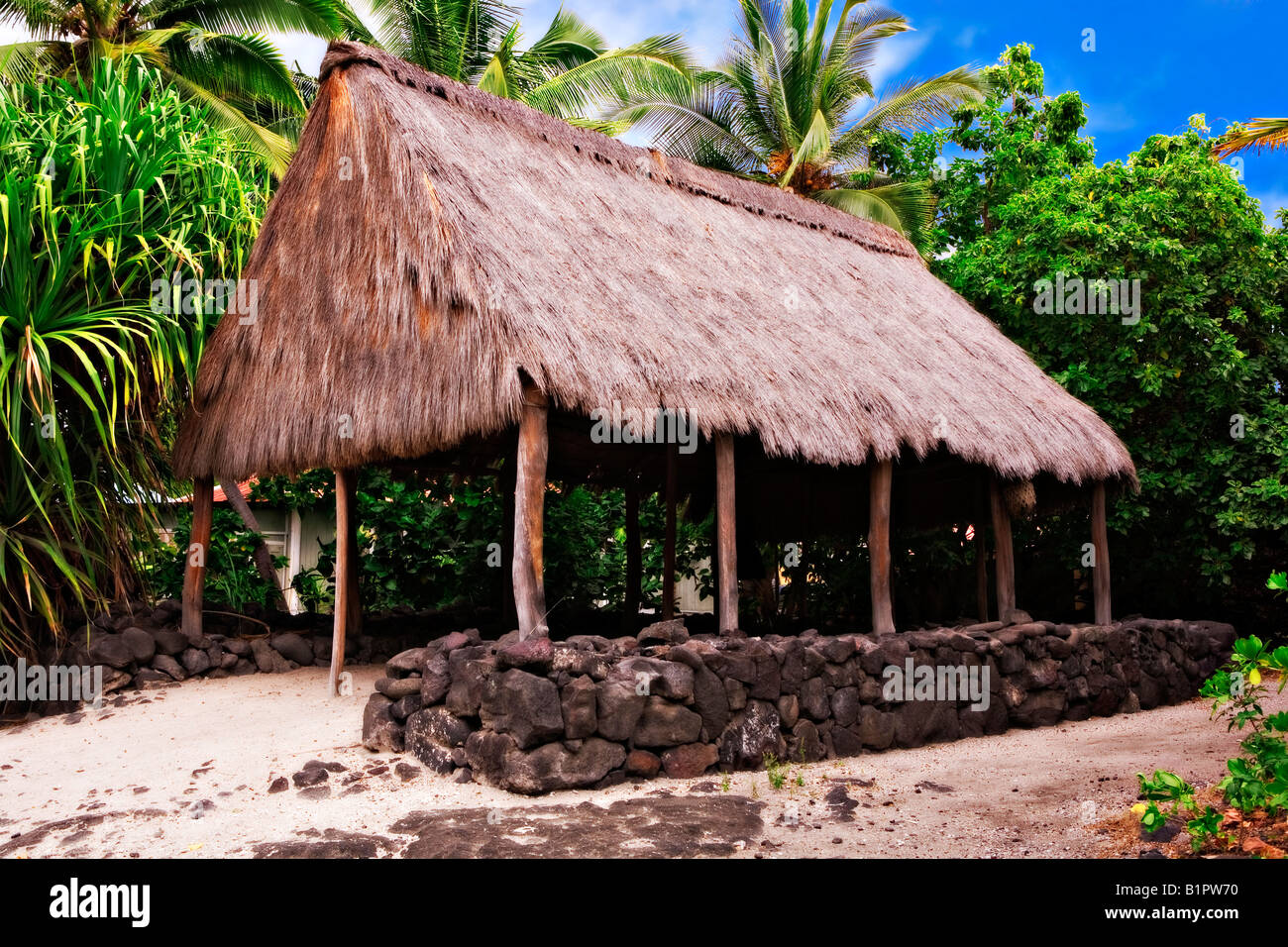 Keawe hi-res stock photography and images - Alamy