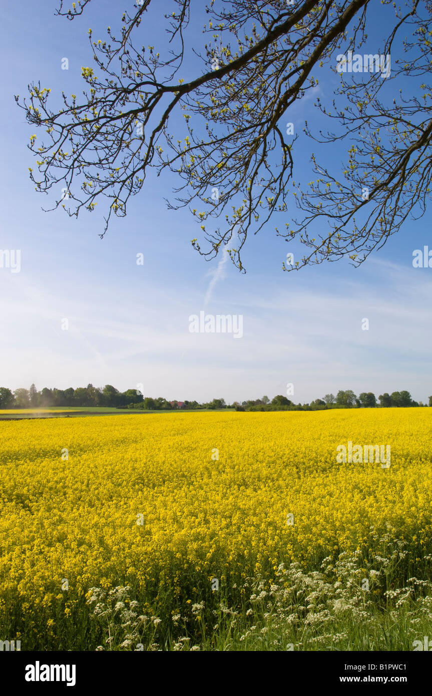 Región kashubia hi-res stock photography and images - Alamy