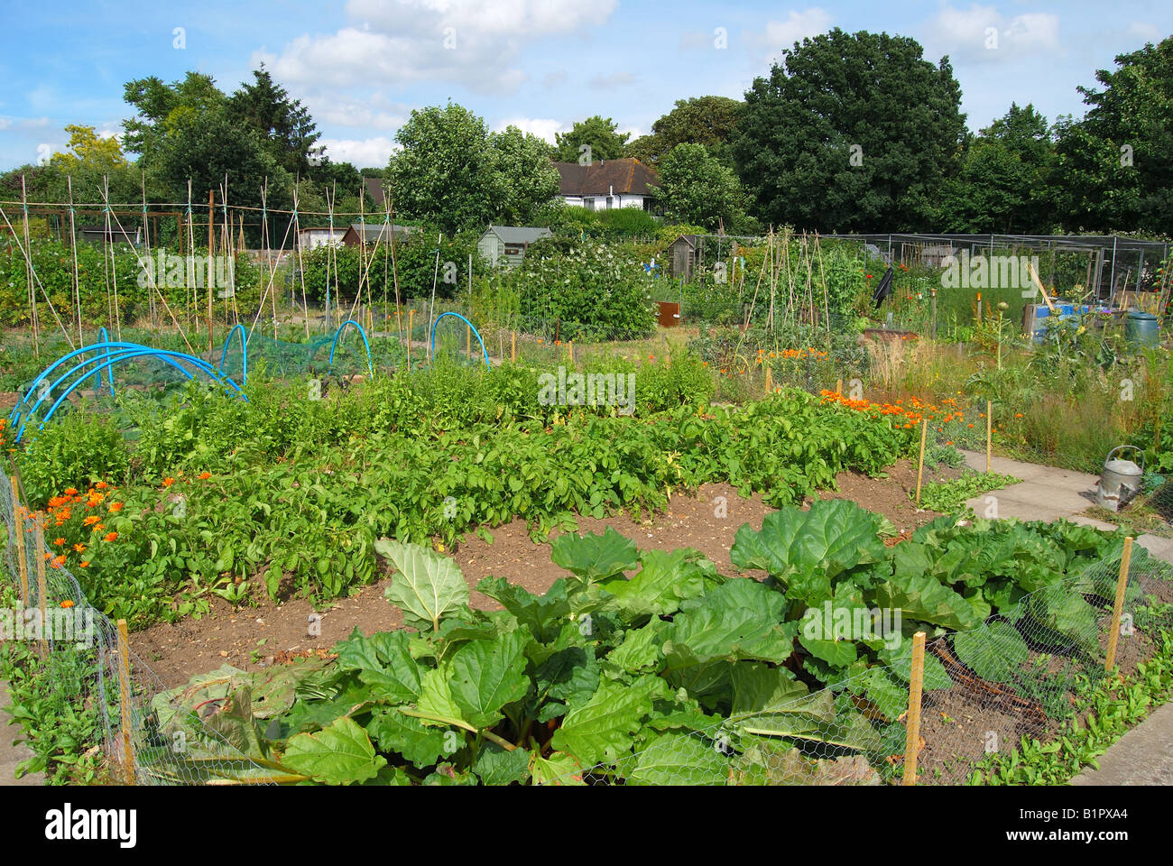 Garden plot hi-res stock photography and images - Alamy