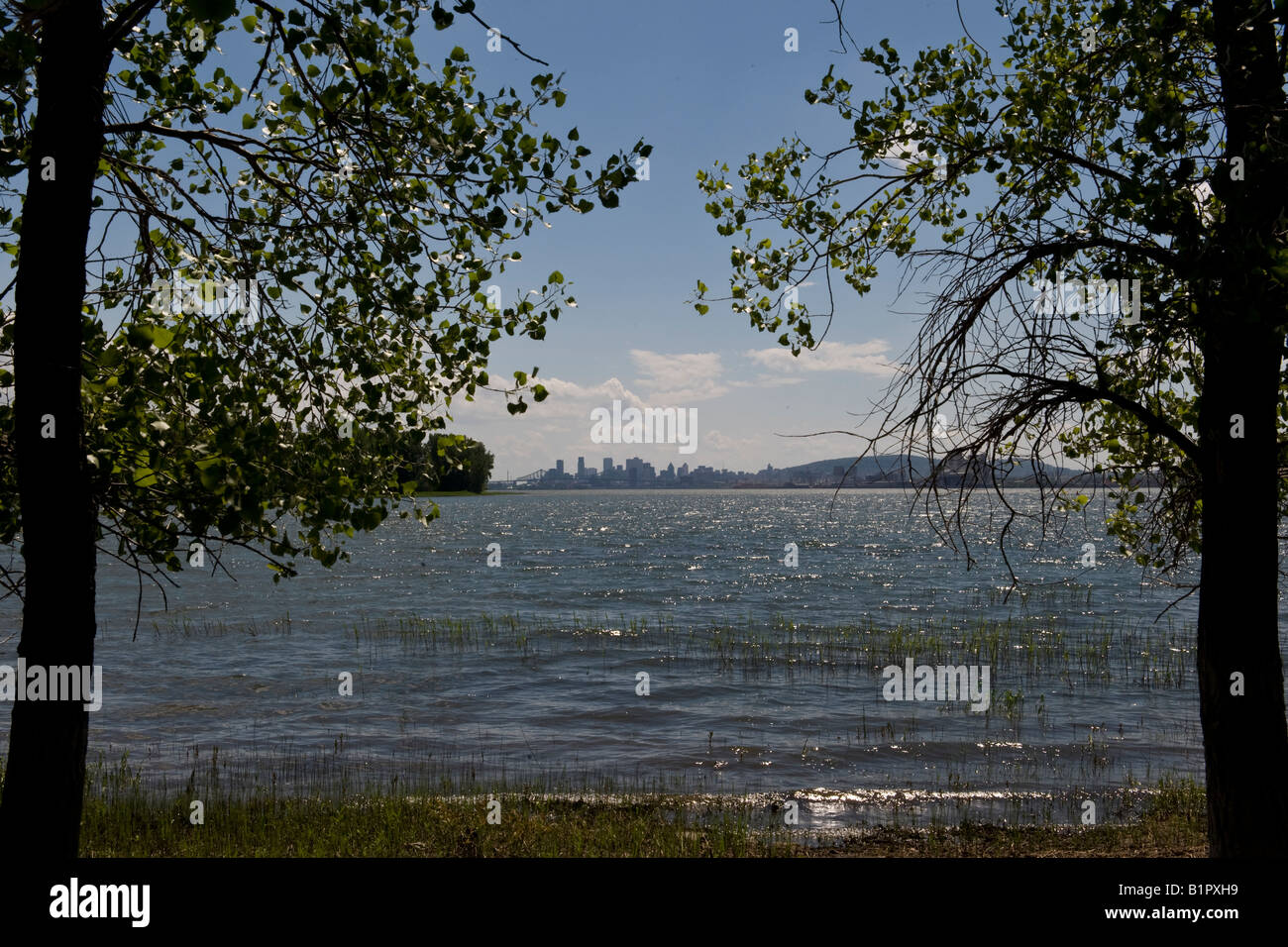 Montreal from Ile Charron Stock Photo - Alamy