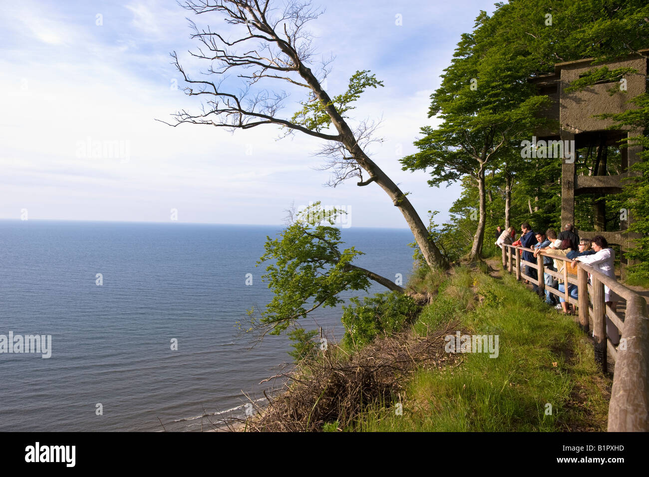 Wolin National Park Baltic Sea Poland Stock Photo: 18328841 - Alamy