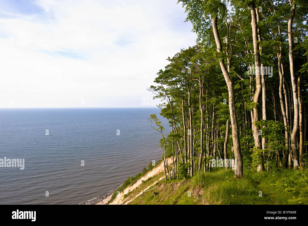 Wolin National Park overlooking Baltic Sea Poland Stock Photo - Alamy