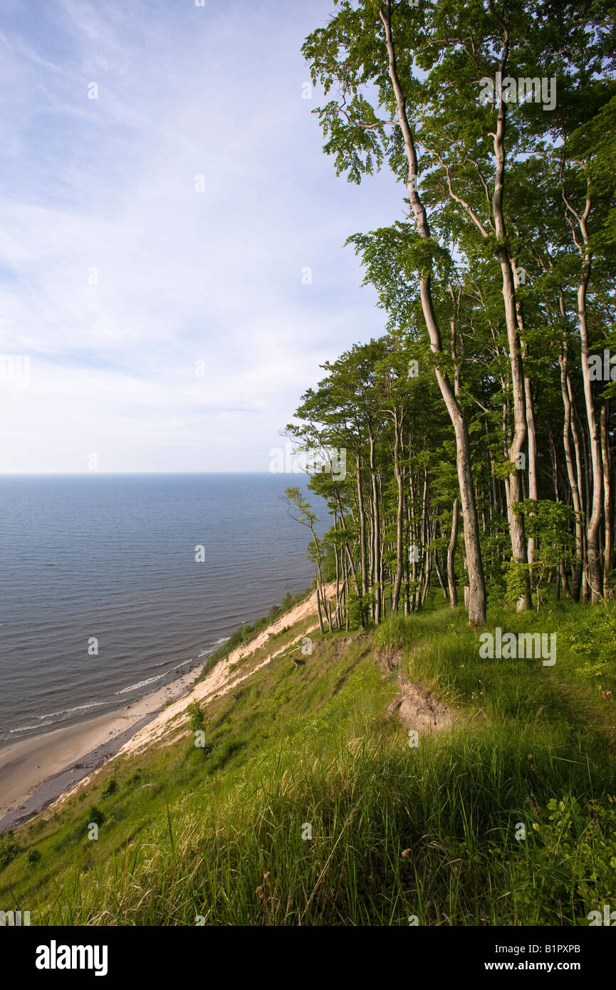 National park wolin hi-res stock photography and images - Alamy