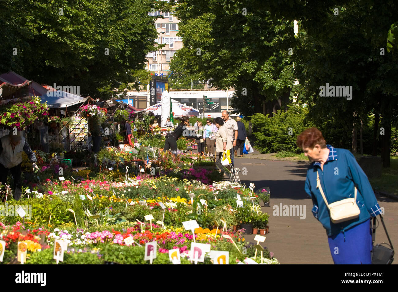 Flower stalls Szczecin Poland Stock Photo - Alamy