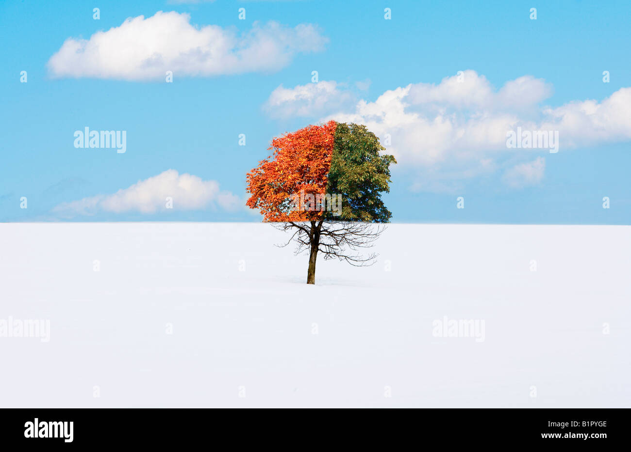 The four seasons hi-res stock photography and images - Alamy