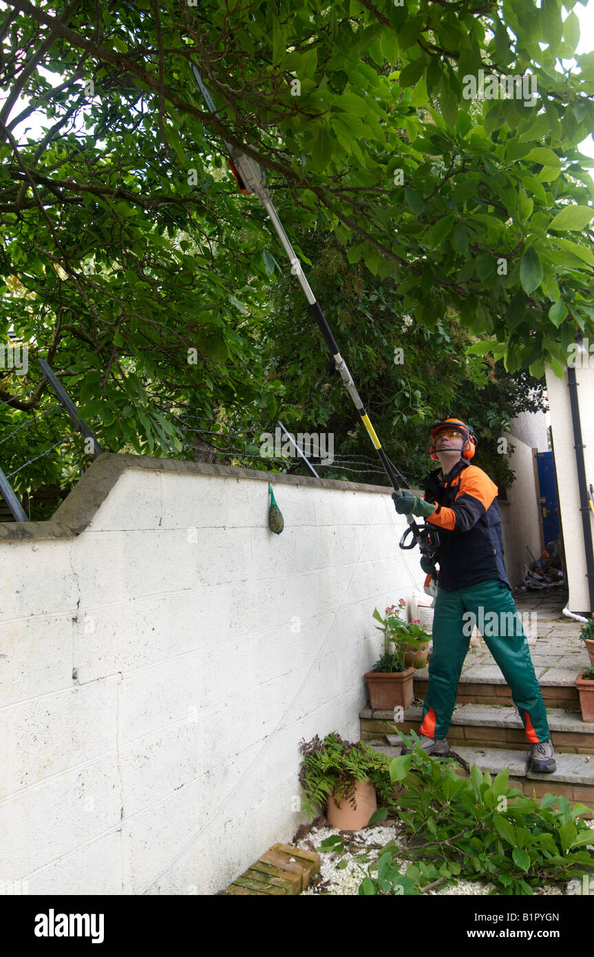Man in full protective STIHL power tool clothing using a Combi Engine ...
