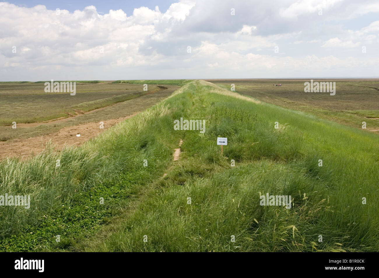 Man made sea defences salt marsh Freiston Shore Lincolnshire UK Stock ...