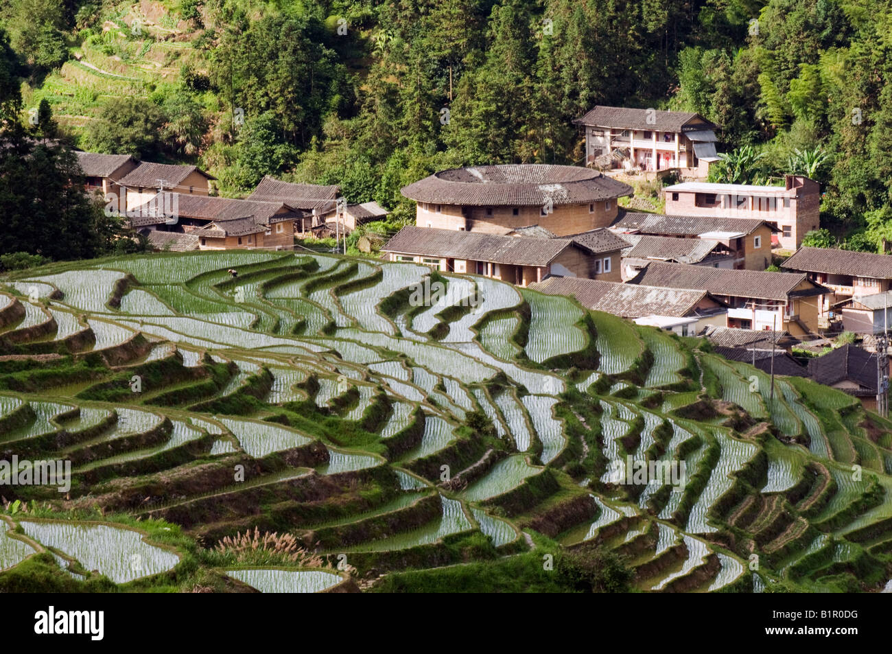 China Fujian Province Hakka Tulou round earth buildings on the Unesco ...