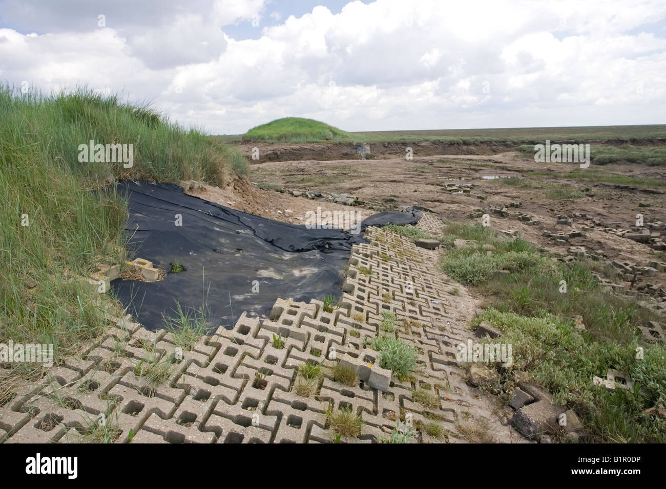 Man made break in sea defences salt marsh Freiston Shore Lincolnshire ...