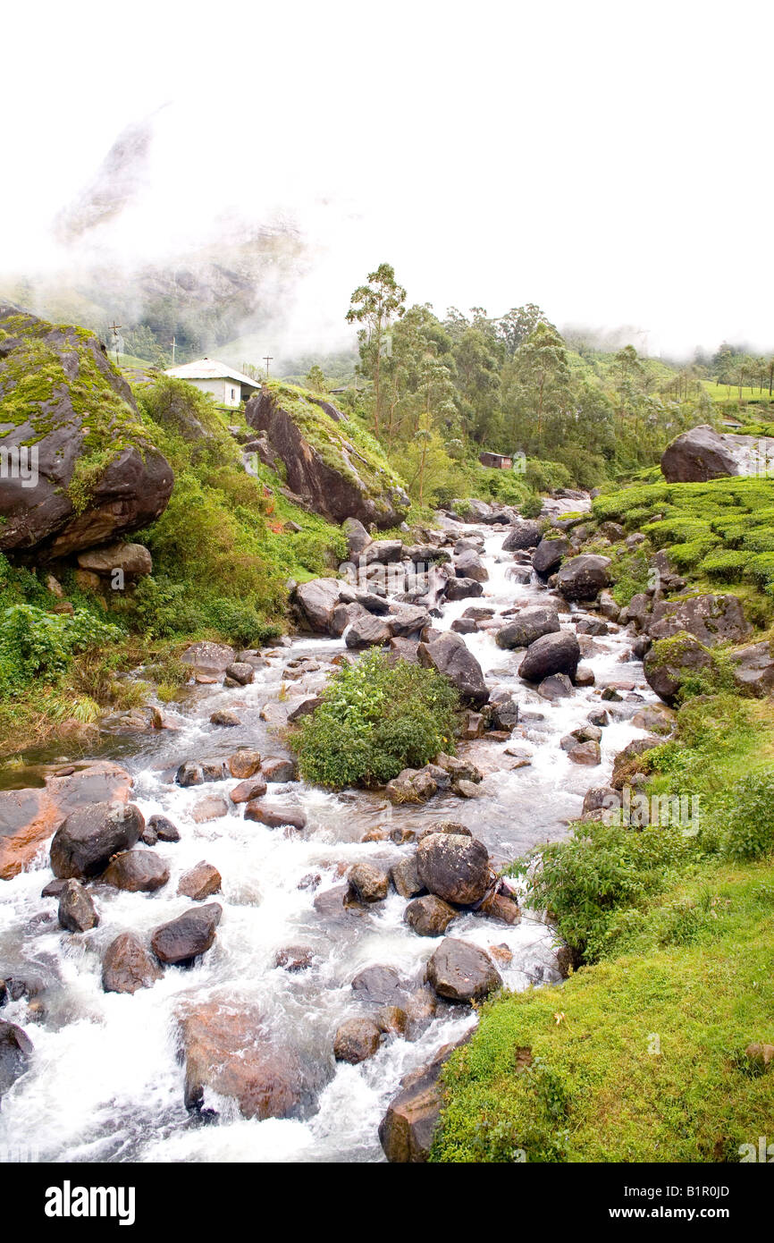 Mountain stream cascades out of misty hills after torrential monsoons ...