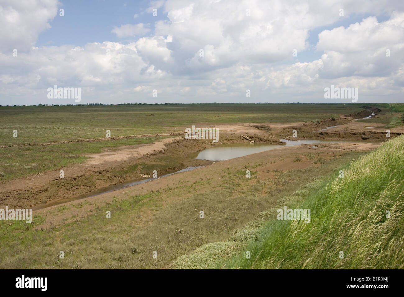 Man made tidal lagoon salt marsh Freiston Shore Lincolnshire UK Stock ...