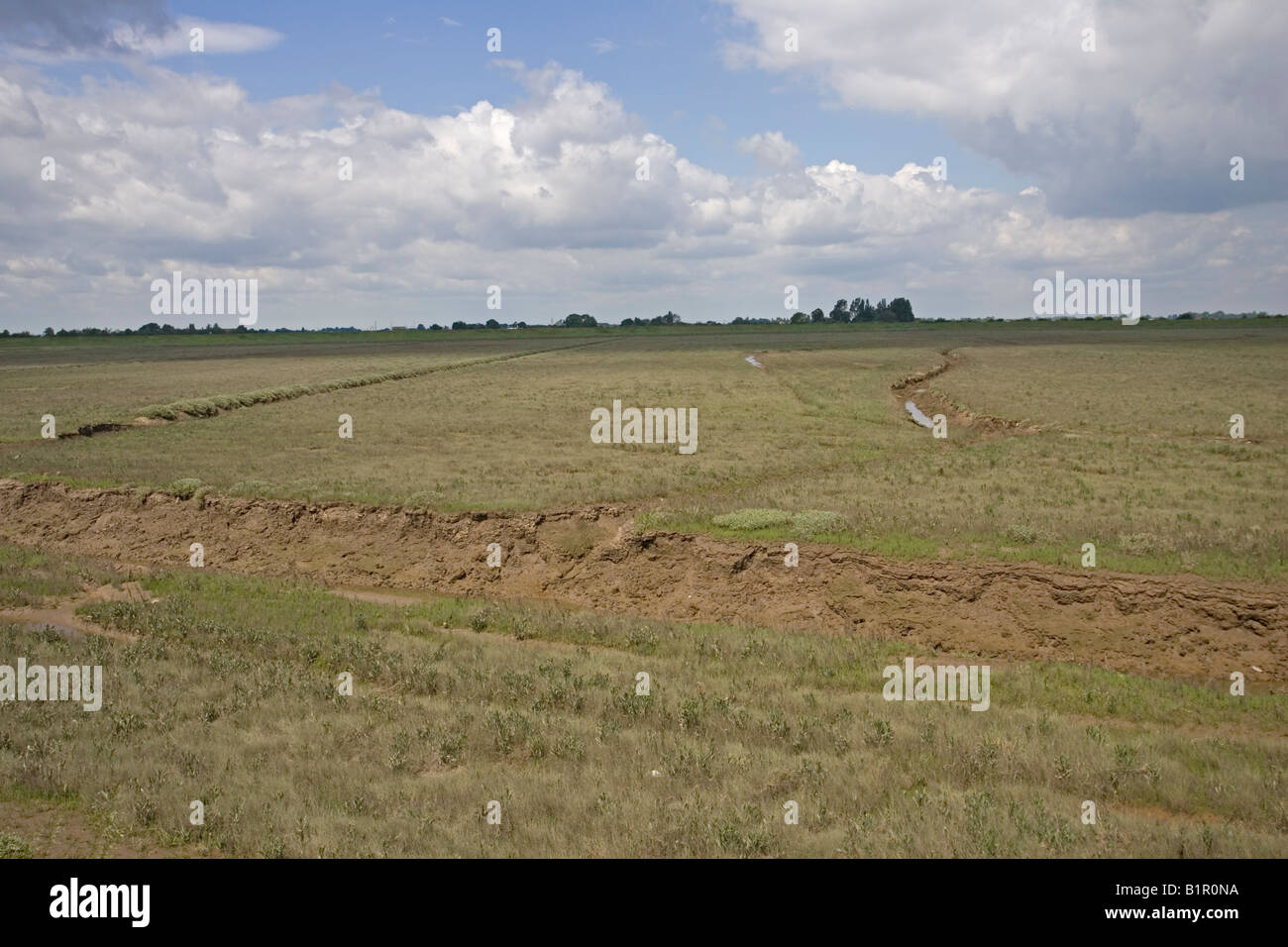 Artifically flooded man made salt marsh Freiston Shore Lincolnshire UK ...
