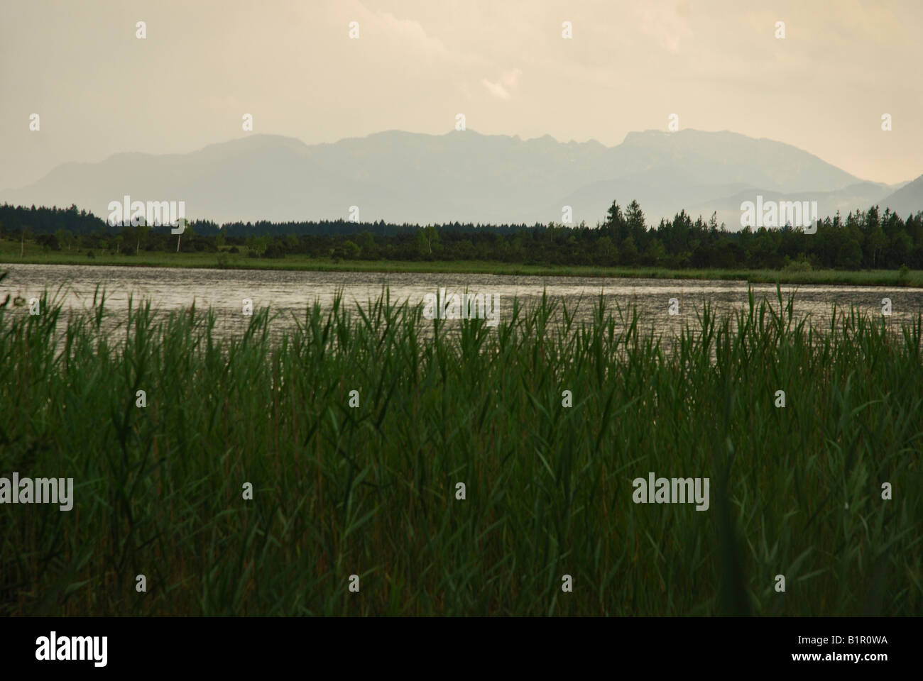 europe, germany, bavaria, nature, water, sea, outdoors, atmospheric ...