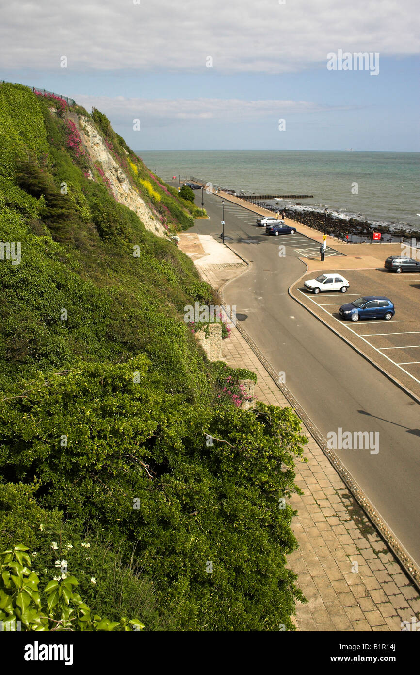 Ventnor seafront and undercliff Stock Photo - Alamy