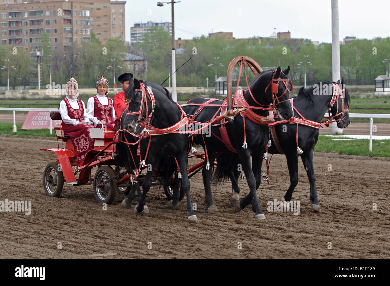Traditional Russian troika horse-riding (carriage-and-three Stock Photo ...
