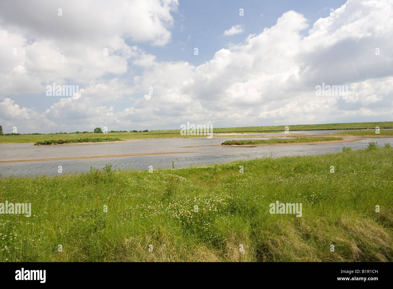 Salt marsh RSPB bird reserve Freiston Shore Lincolnshire UK Stock Photo ...