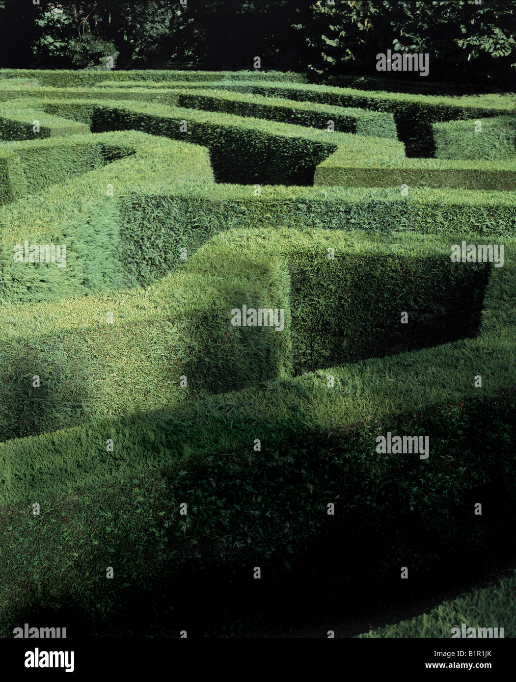 Start of maze hi-res stock photography and images - Alamy