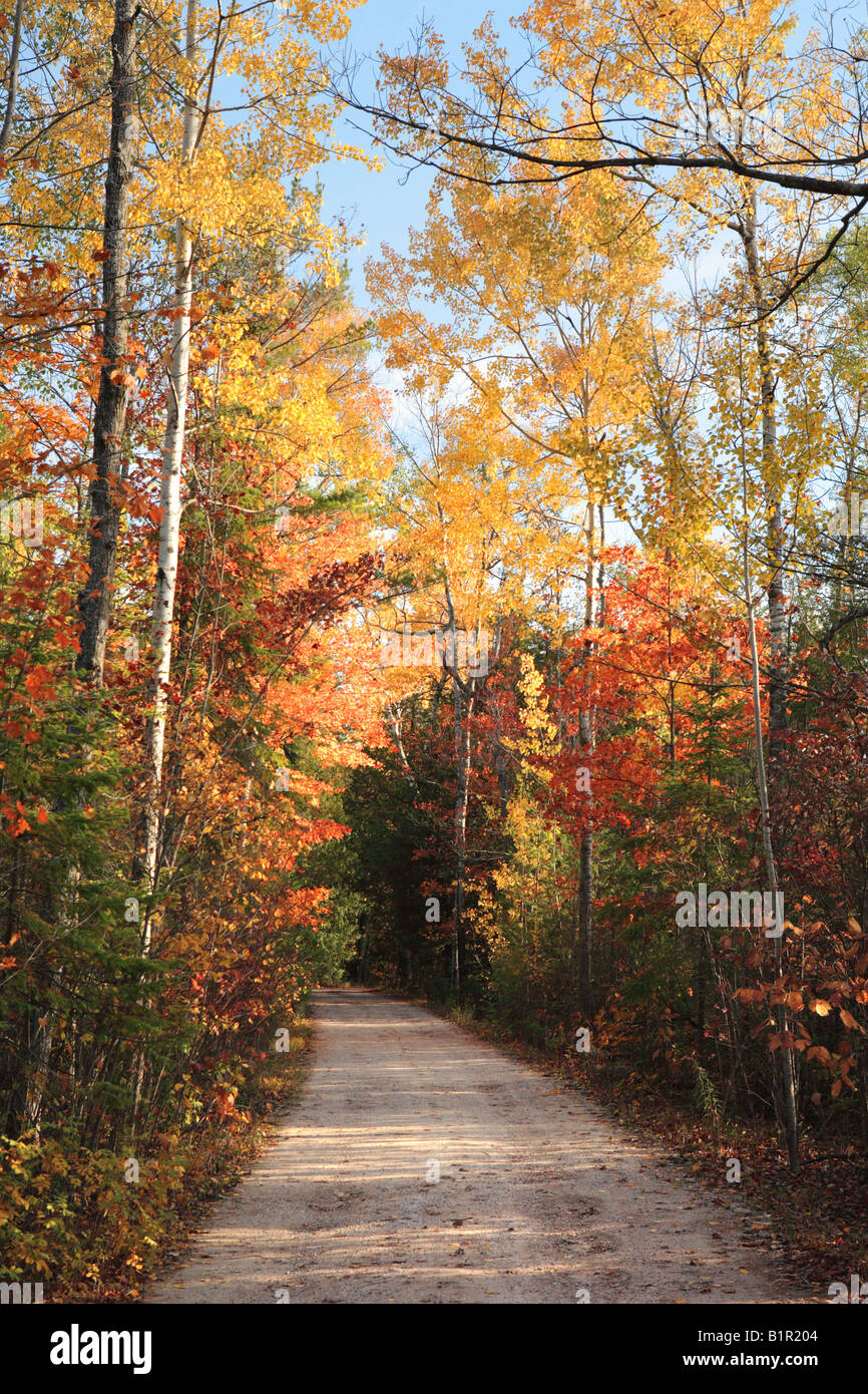 FOREST ROAD IN DOOR COUNTY NEAR GILLS ROCK WISCONSIN USA IN OCTOBER ...