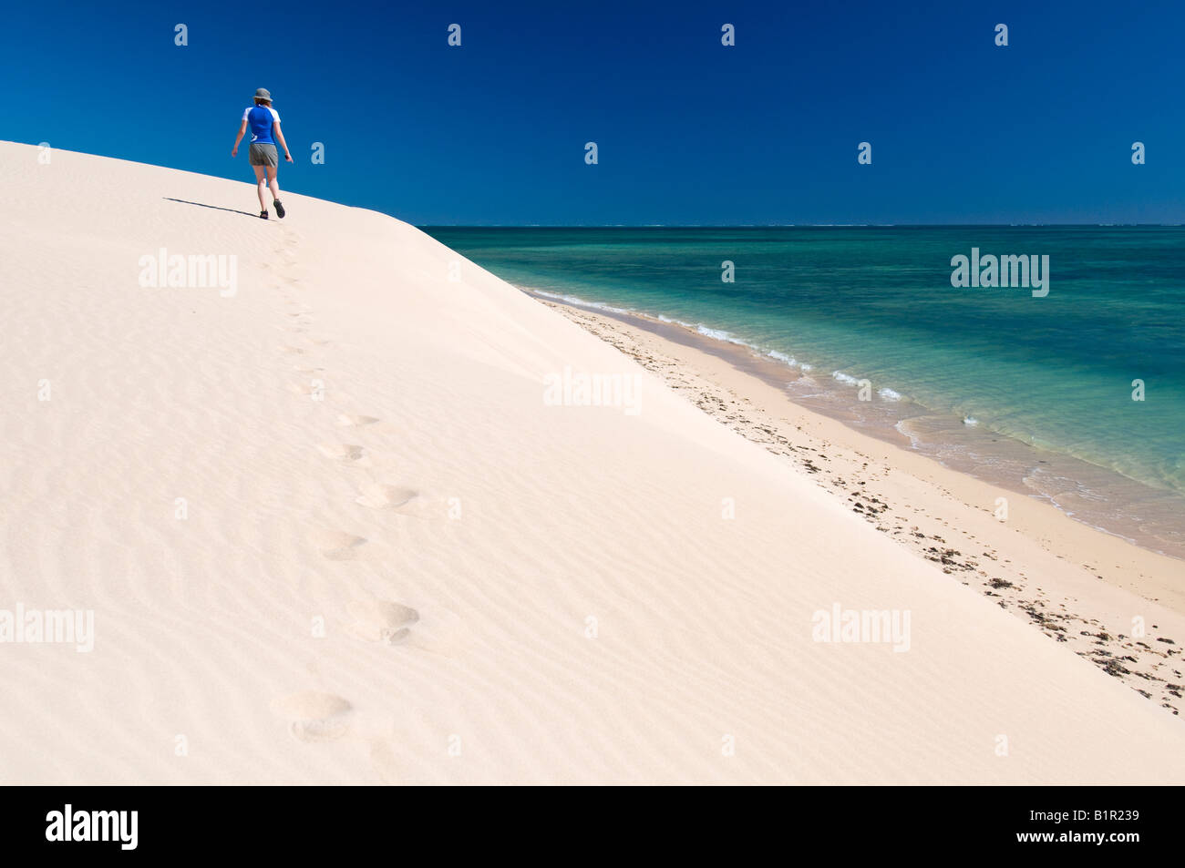 Sund dune exmouth Stock Photo - Alamy