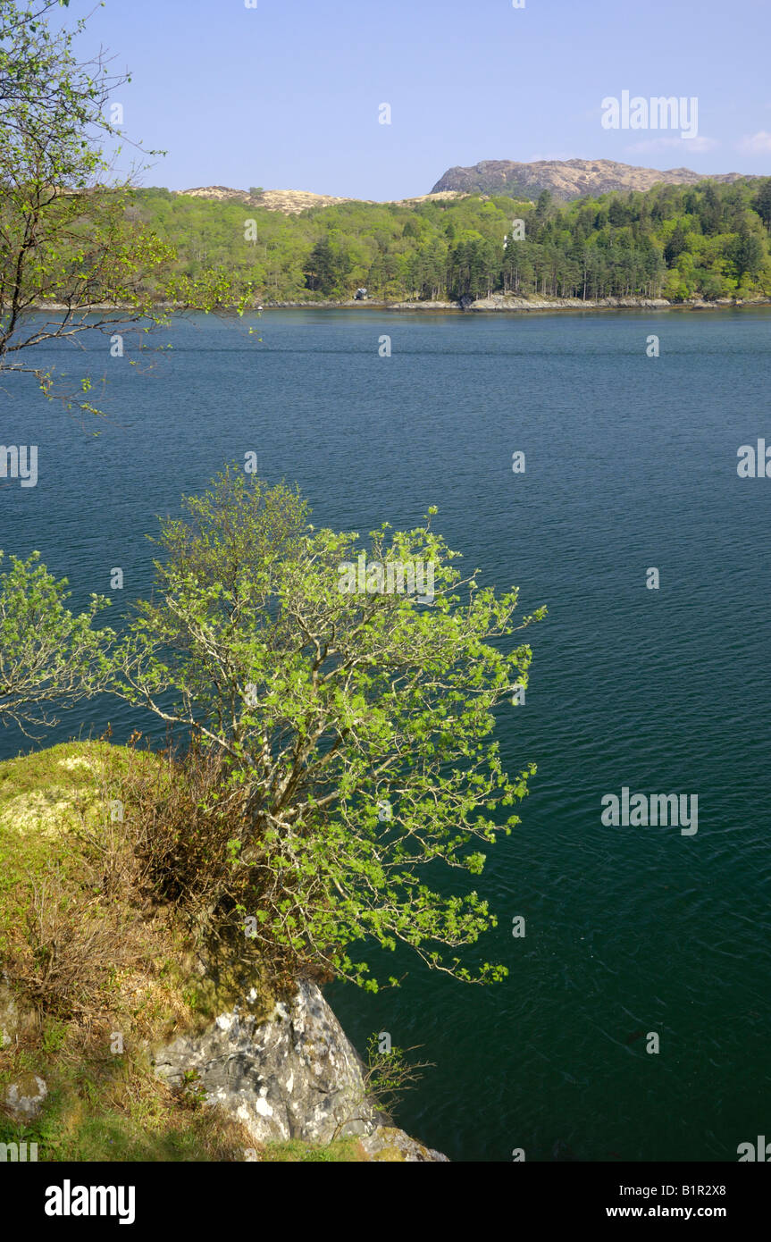 Loch moidart scotland hi-res stock photography and images - Alamy
