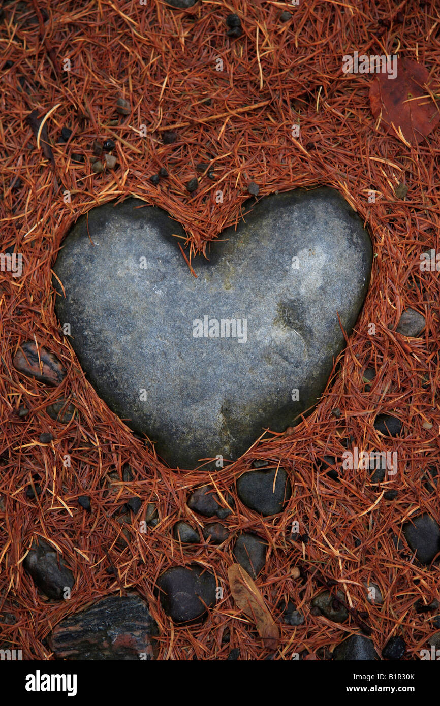 Heart shaped stone in pine needles Stock Photo - Alamy