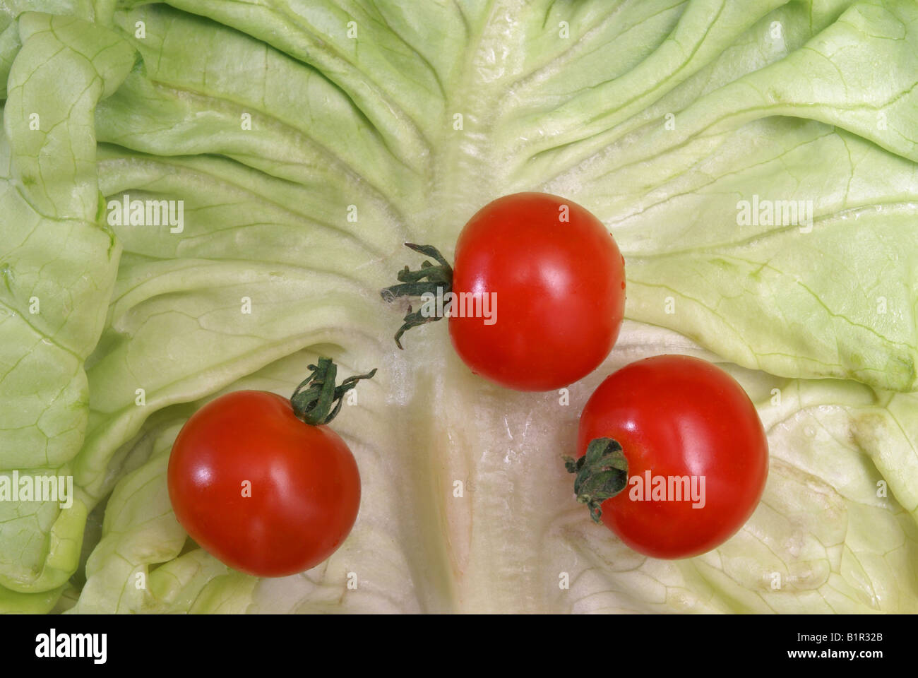 Closeup of boston lettuce hi-res stock photography and images - Alamy