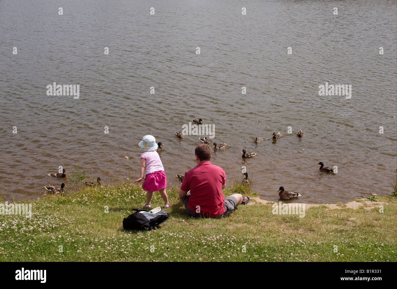 Goldsworth park hi-res stock photography and images - Alamy