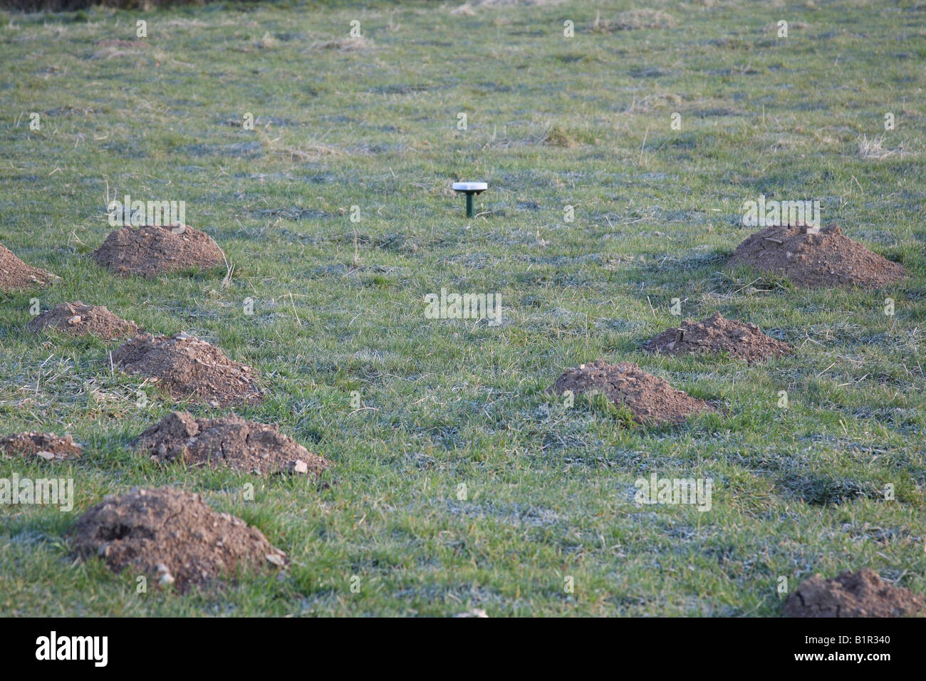 NOISE EMITTING MOLE SCARER POSSITIONED AMONGST MOLE HILLS Stock Photo ...