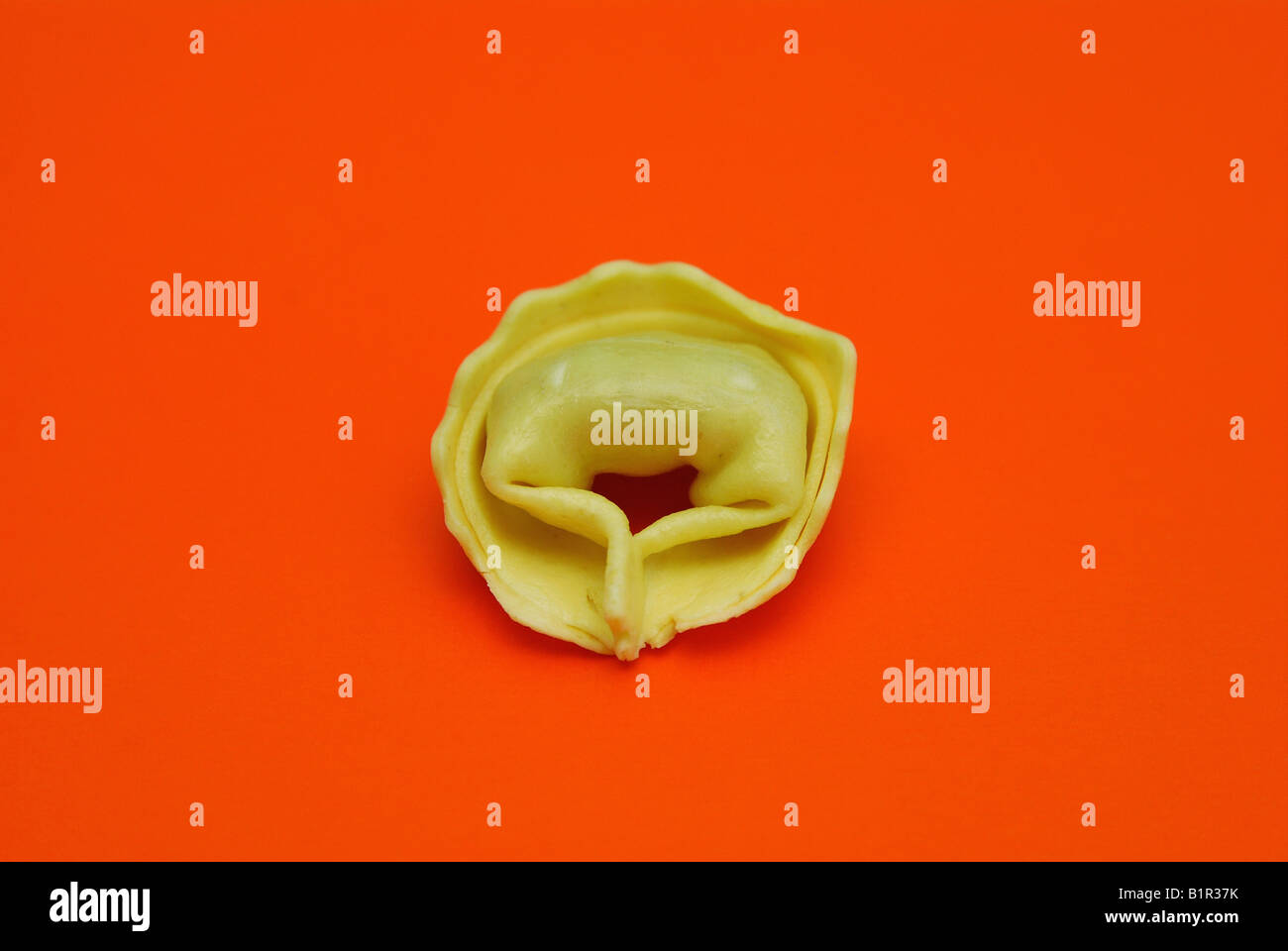 Tortellino studio pasta cooking ingredient shape shaped hi-res stock ...