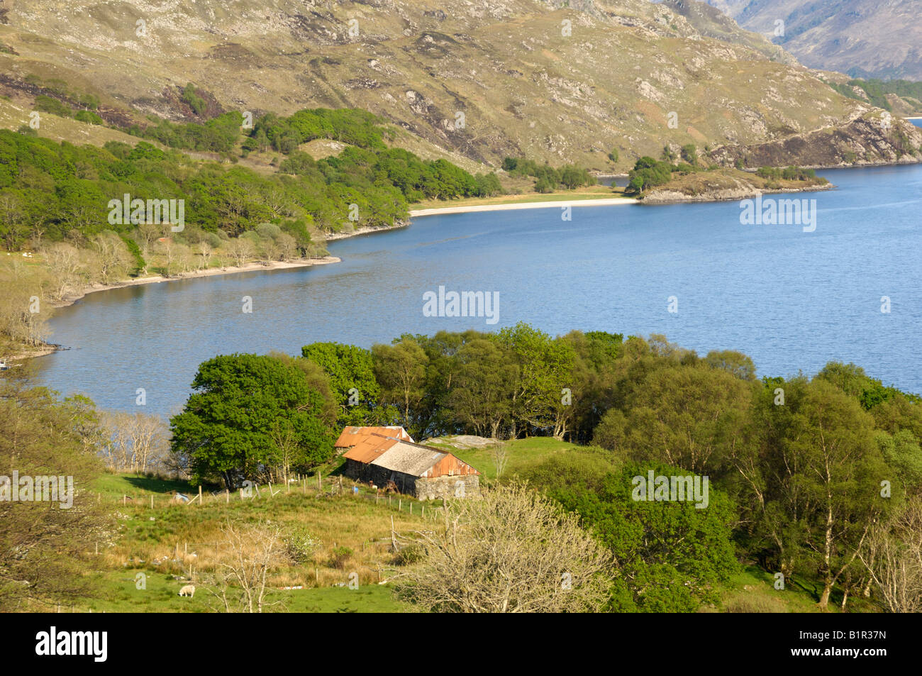 Loch Morar, Highlands, Scotland Stock Photo - Alamy