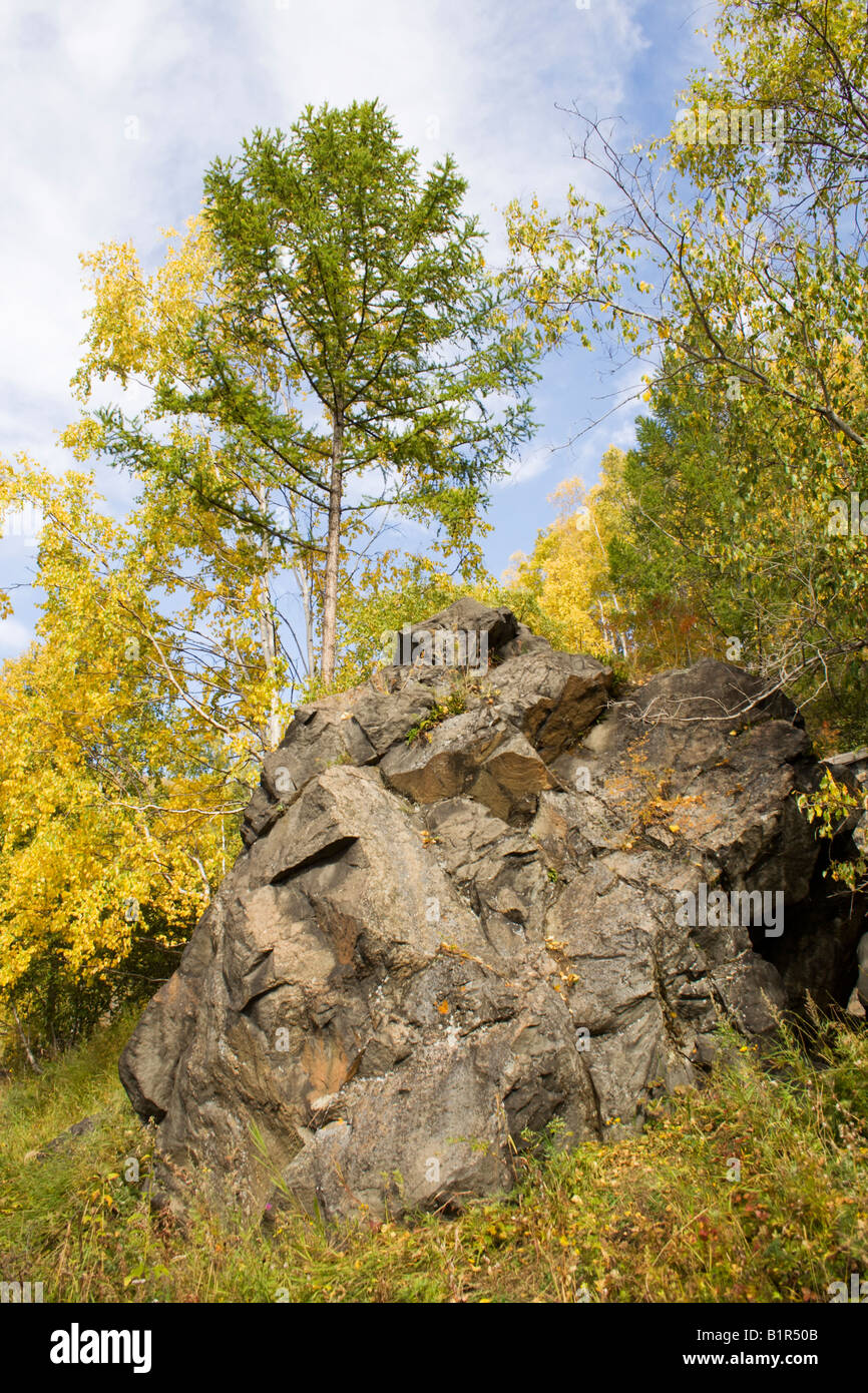 Tree cavity and rocks hi-res stock photography and images - Alamy
