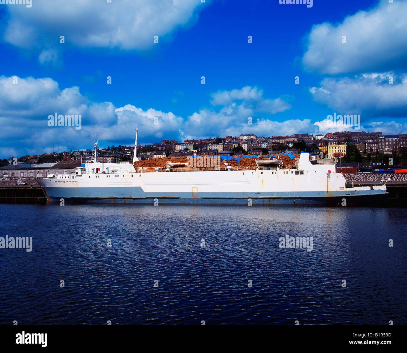 On the hoof hi-res stock photography and images - Alamy