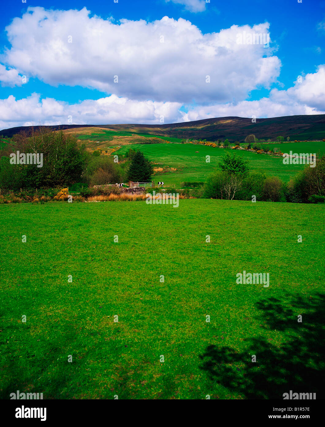 Sperrins mountains hi-res stock photography and images - Alamy