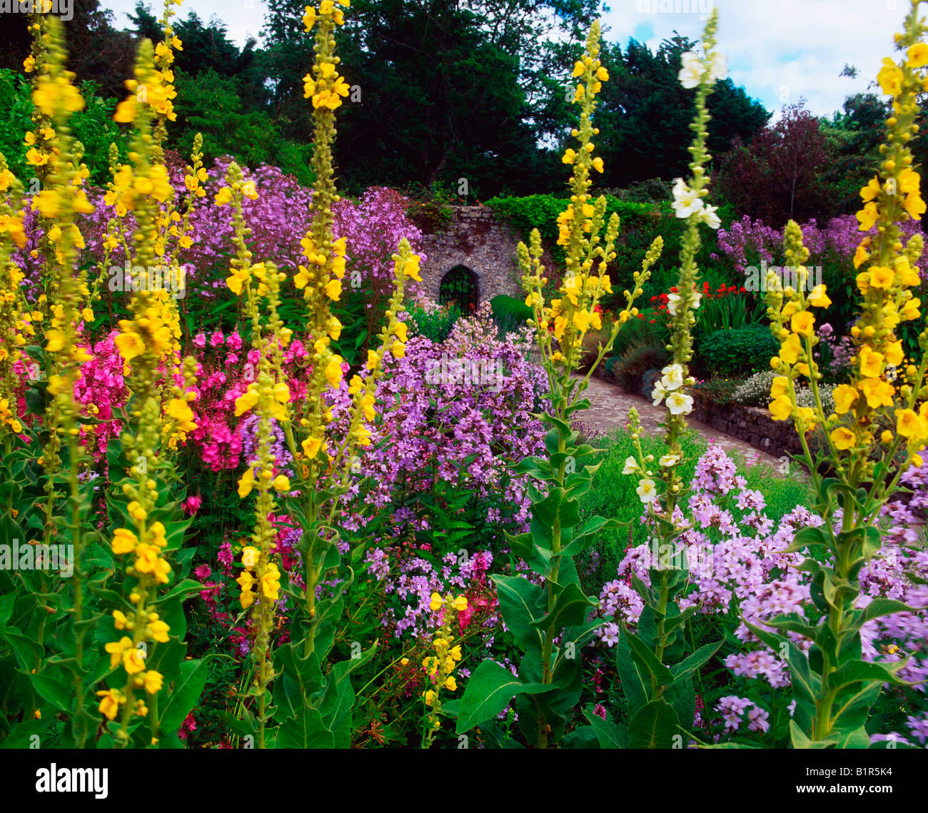 Double border hi-res stock photography and images - Alamy